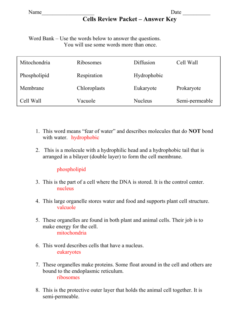 Cells And Biomolecule Review Answer Key Cells And Biomolecule Review Answer Key