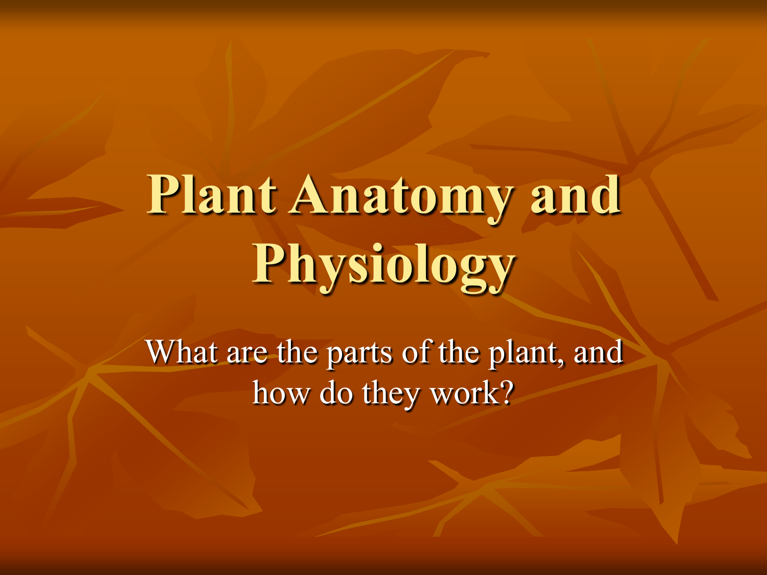 Plant Anatomy And Physiology