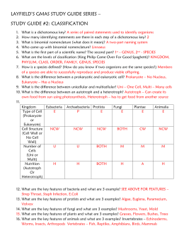 Bird Dichotomous Key
