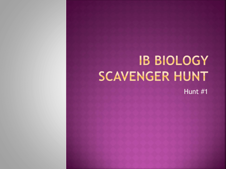 AP Biology Scavenger Hunt AP Biology Scavenger Hunt