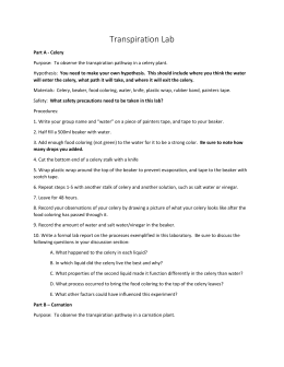 The Celery Experiment