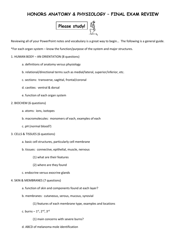 HONORS ANATOMY PHYSIOLOGY FINAL EXAM REVIEW HONORS ANATOMY PHYSIOLOGY FINAL EXAM REVIEW