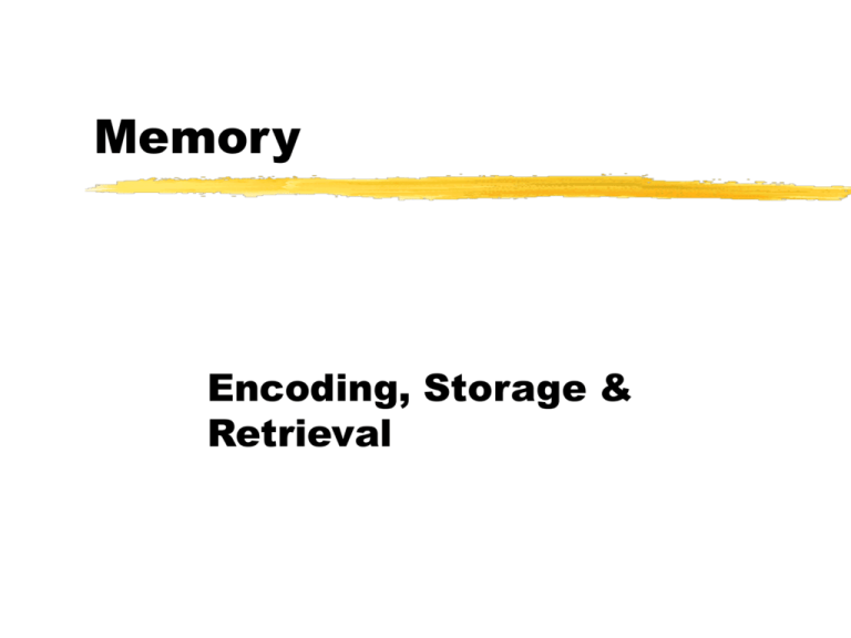 Sensory Memory Sensory Memory