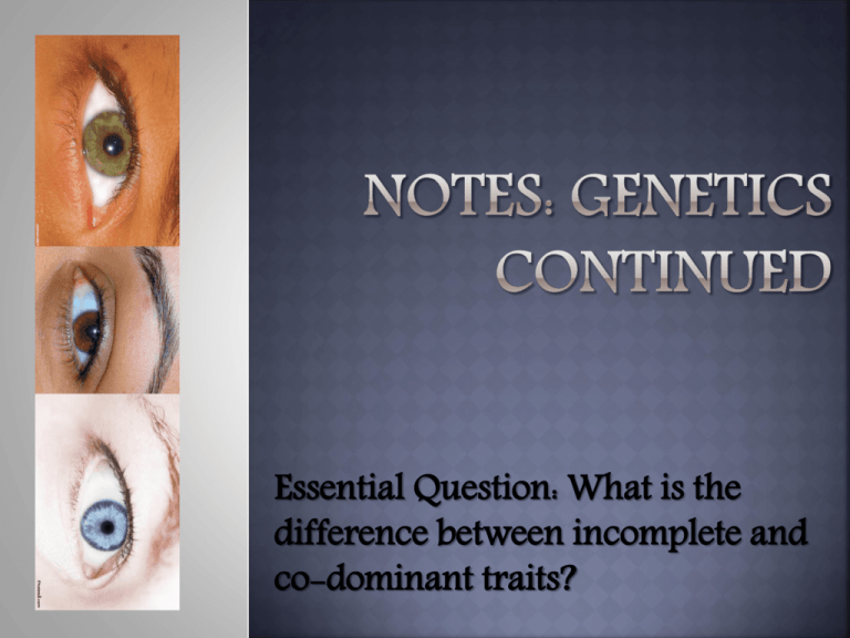 Genetics Contd 