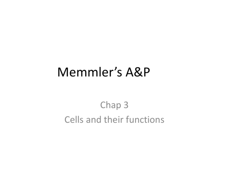 Memmler s A P