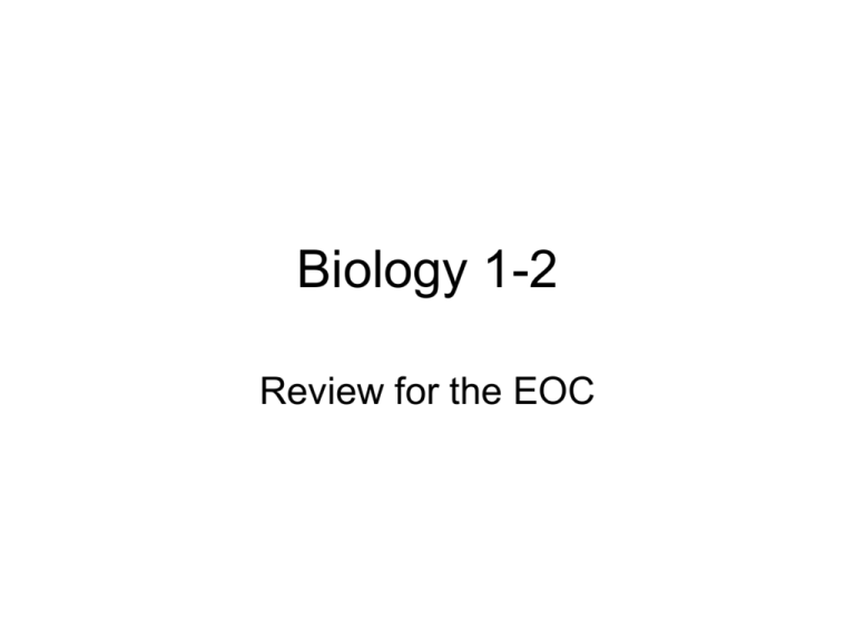 EOC Review EOC Review