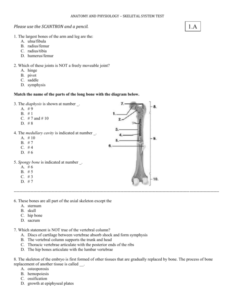 Skeletal System TEST 2015 Skeletal System TEST 2015
