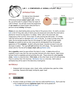 Assignments: Comparison of Onion and Cheek Cells