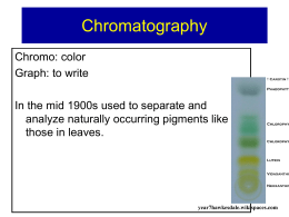 Chromatography Worksheet