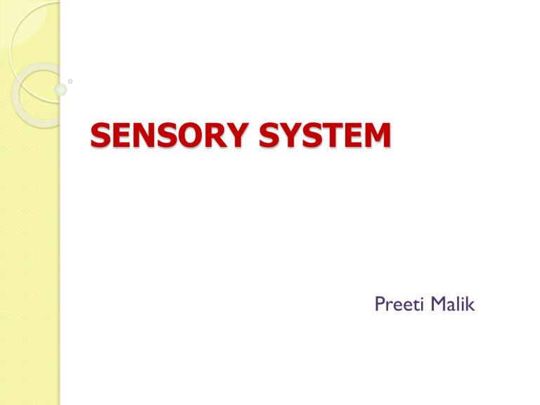 SENSORY SYSTEM