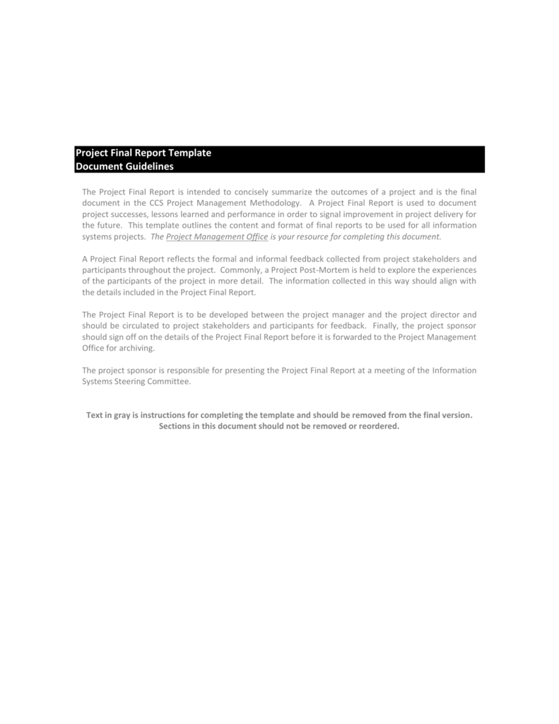 Project Final Report Template