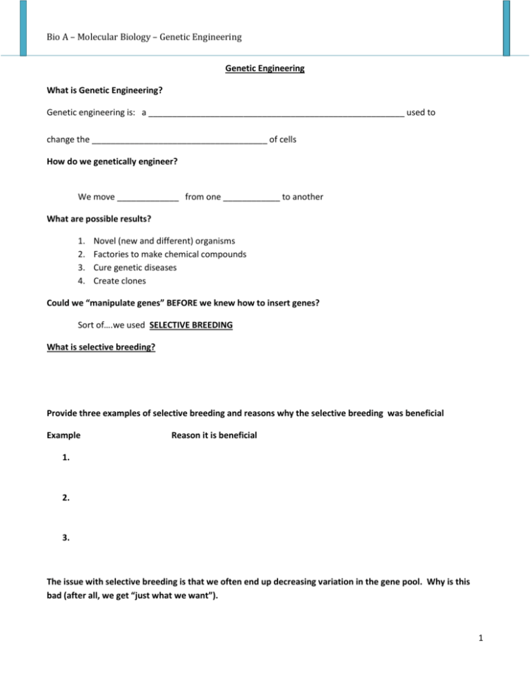 Bio A * Molecular Biology * Genetic Engineering