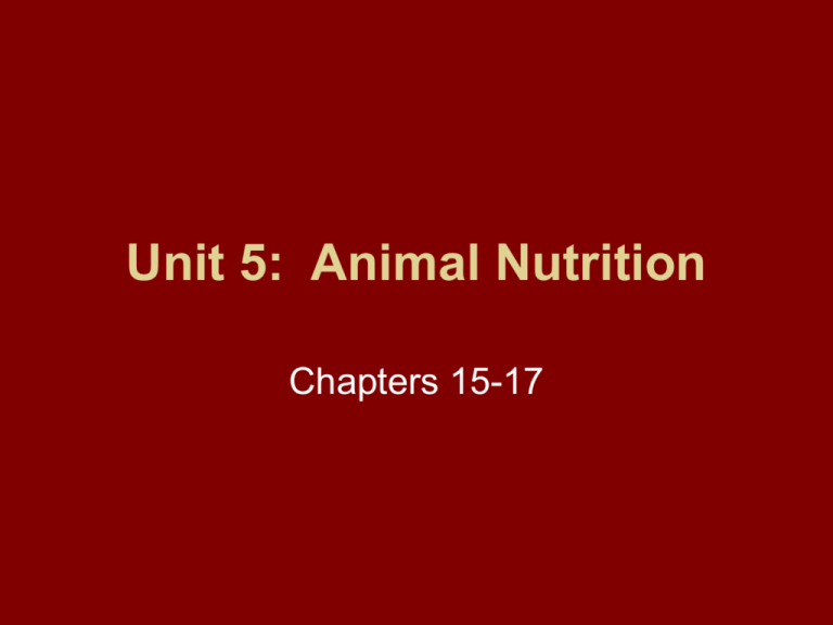 Unit 5 Animal Nutrition Unit 5 Animal Nutrition