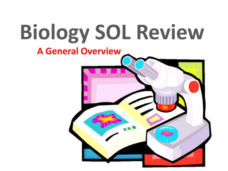 Sol Review Packet Power Point