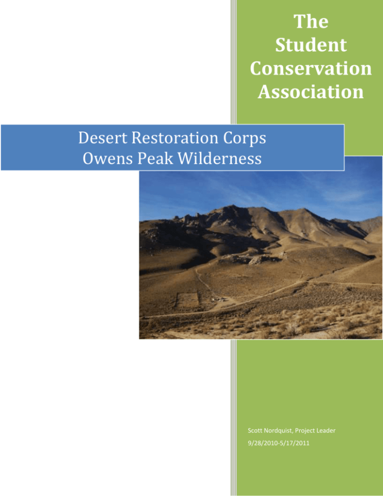 Final Report Example