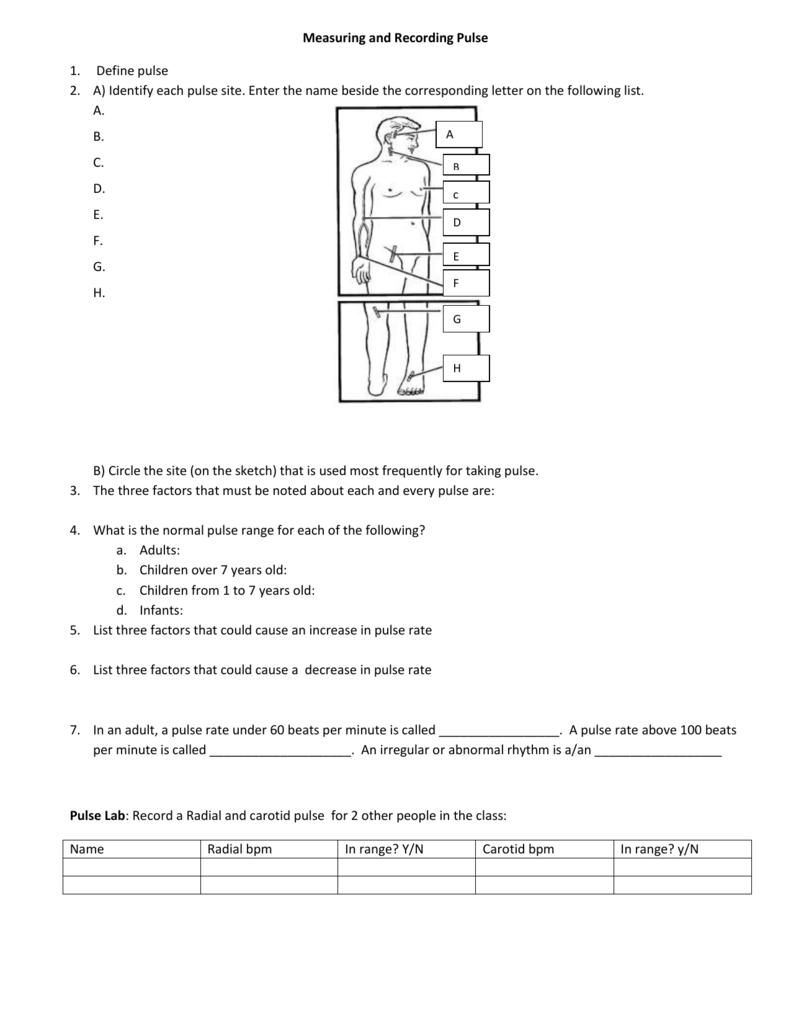 Pulse And BP Worksheet