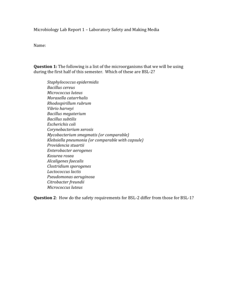 Microbiology Lab Report 1