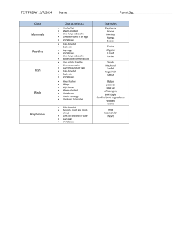 Classification of Life Worksheet