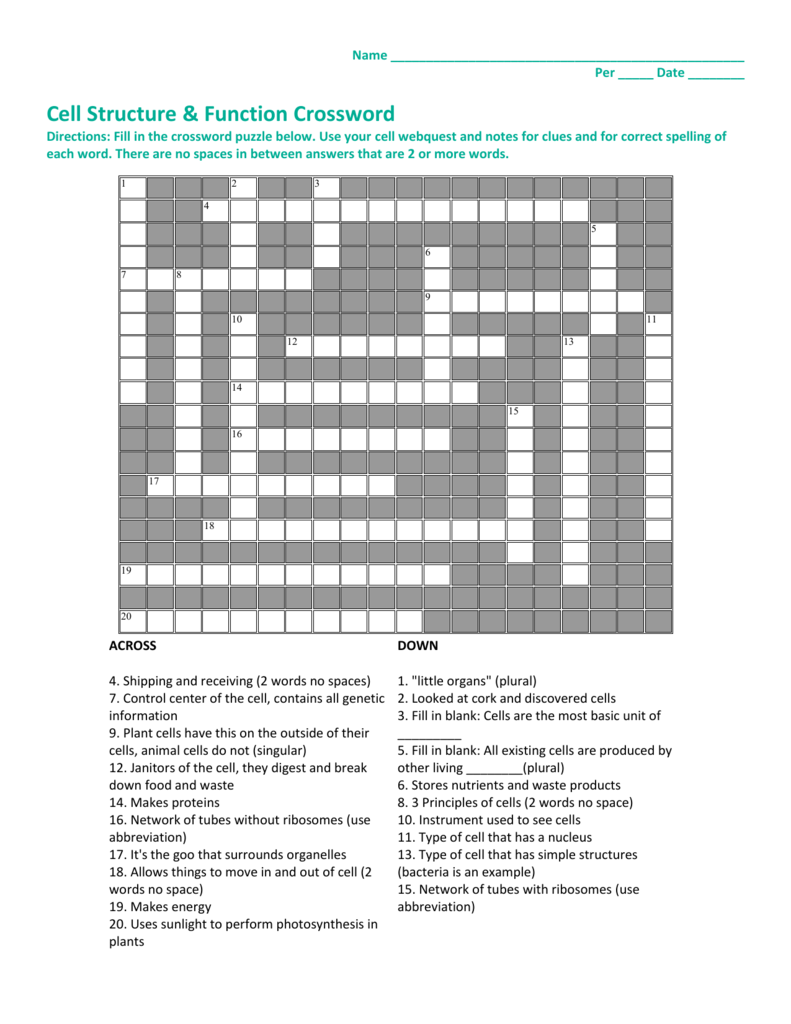 Key Cell Structure And Function Crossword Key Cell Structure And Function Crossword