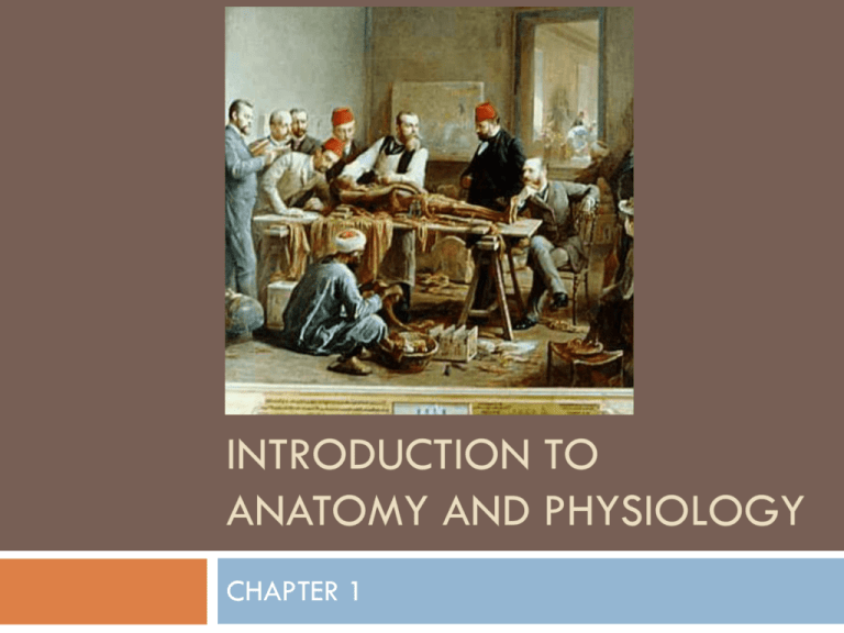 File Honors Anatomy And Physiology