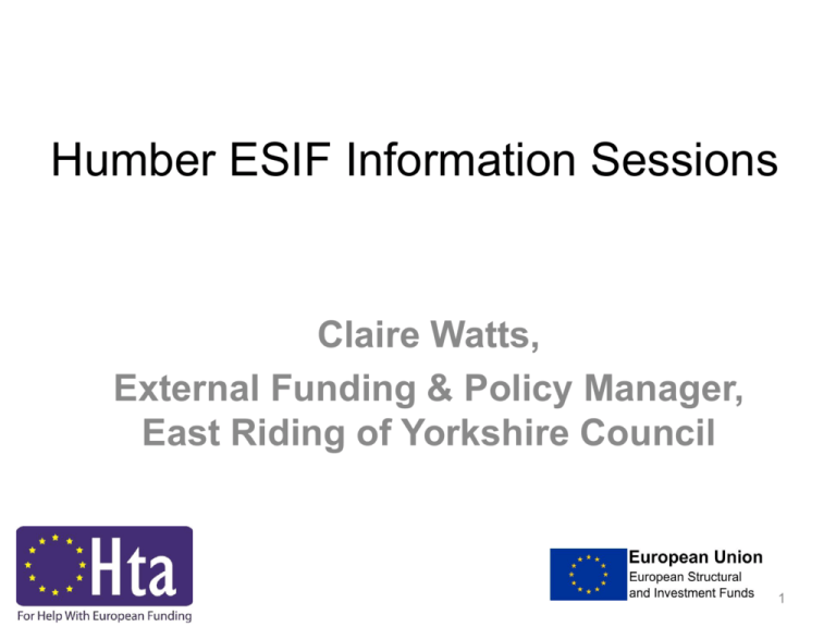 Remaining Funds In Humber ESIF Strategy