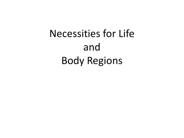 Necessities For Life And Body Regions