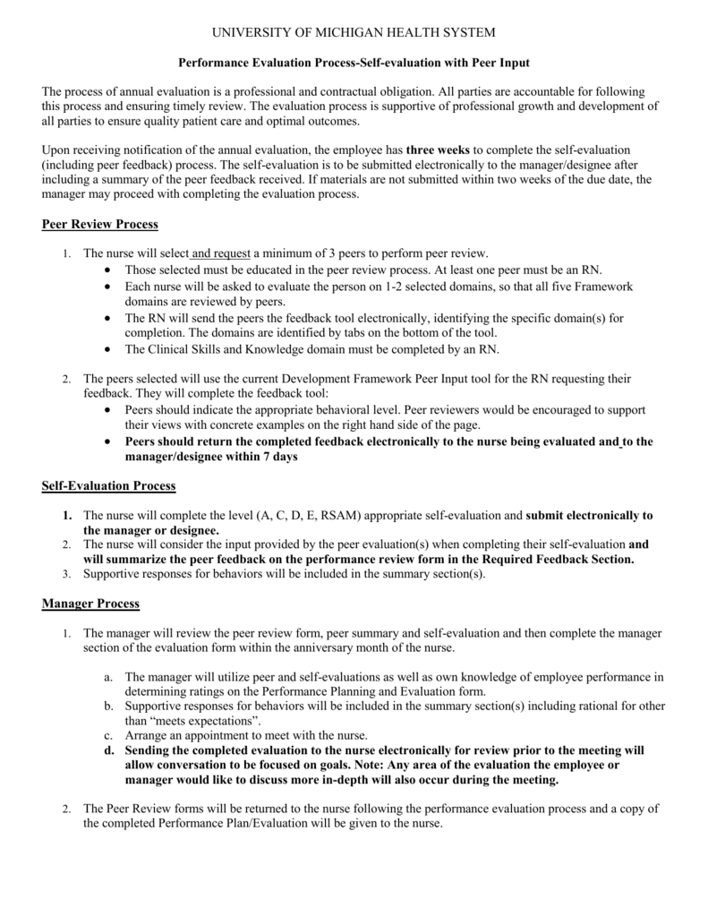 Registered Nurse Level D Annual Evaluation