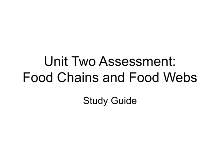 Unit Two Assessment Food Chains And Food Webs