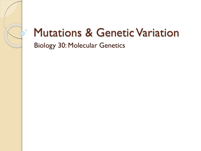 Mutations Genetic Variation