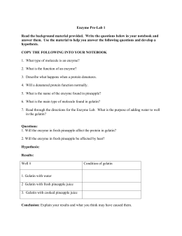 Enzyme Pineapple Lab