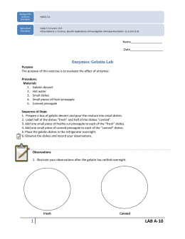 Enzyme Pineapple Lab