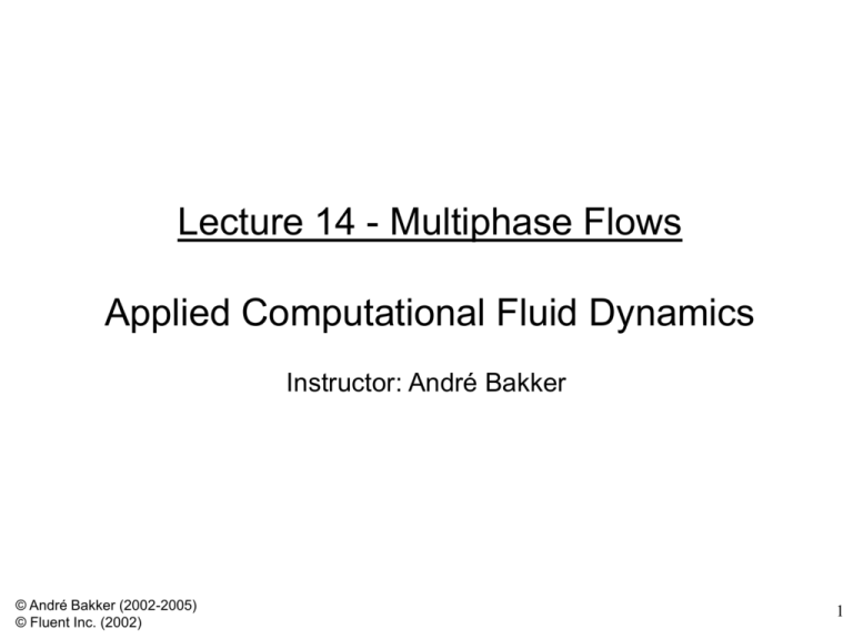 Multiphase Flows