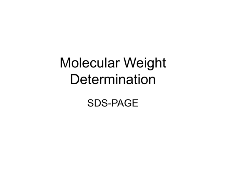 Molecular Weight Determination Molecular Weight Determination