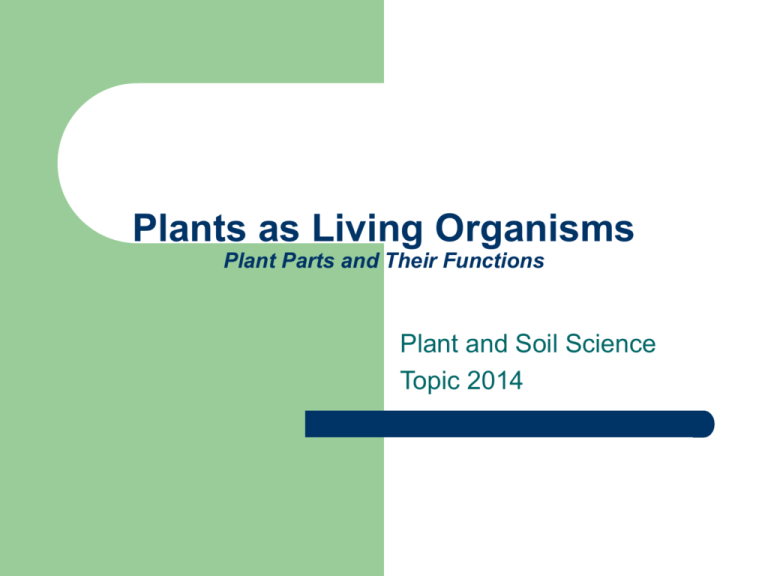 Plants As Living Organisms Plant Parts And Their Functions