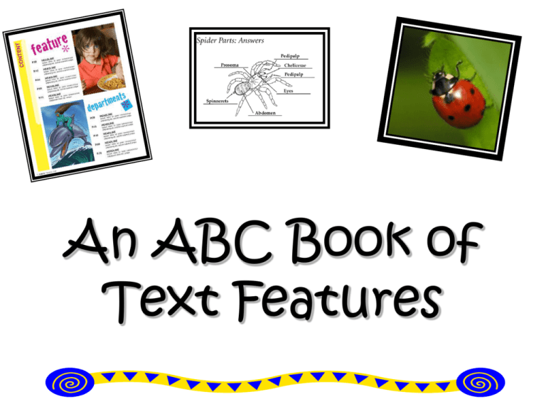 ABC BOOK Of Text Features
