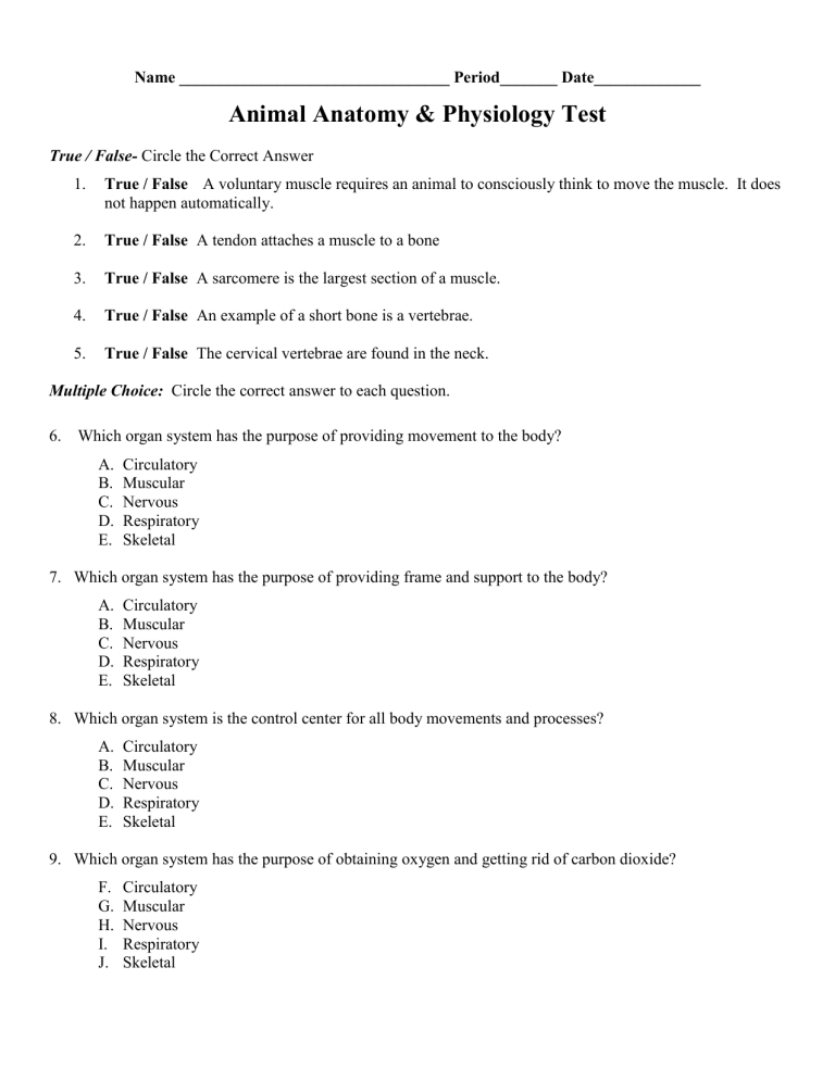 Animal Anatomy And Physiology Test high School 