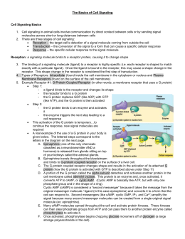 AP Biology Ch.11 Cell Communication Worksheet