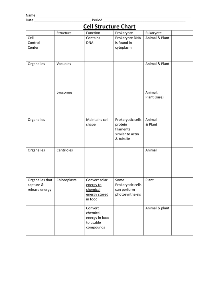 Cell Structure Chart Cell Structure Chart