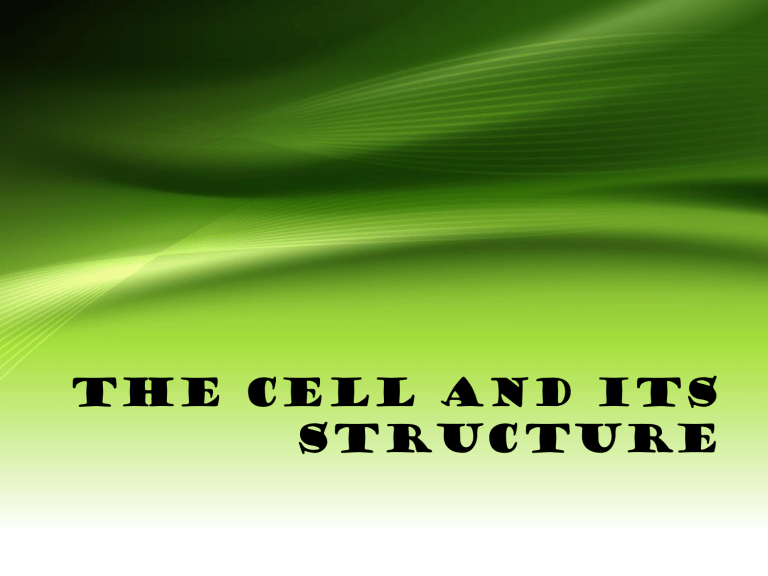 Cell And Cell Theory