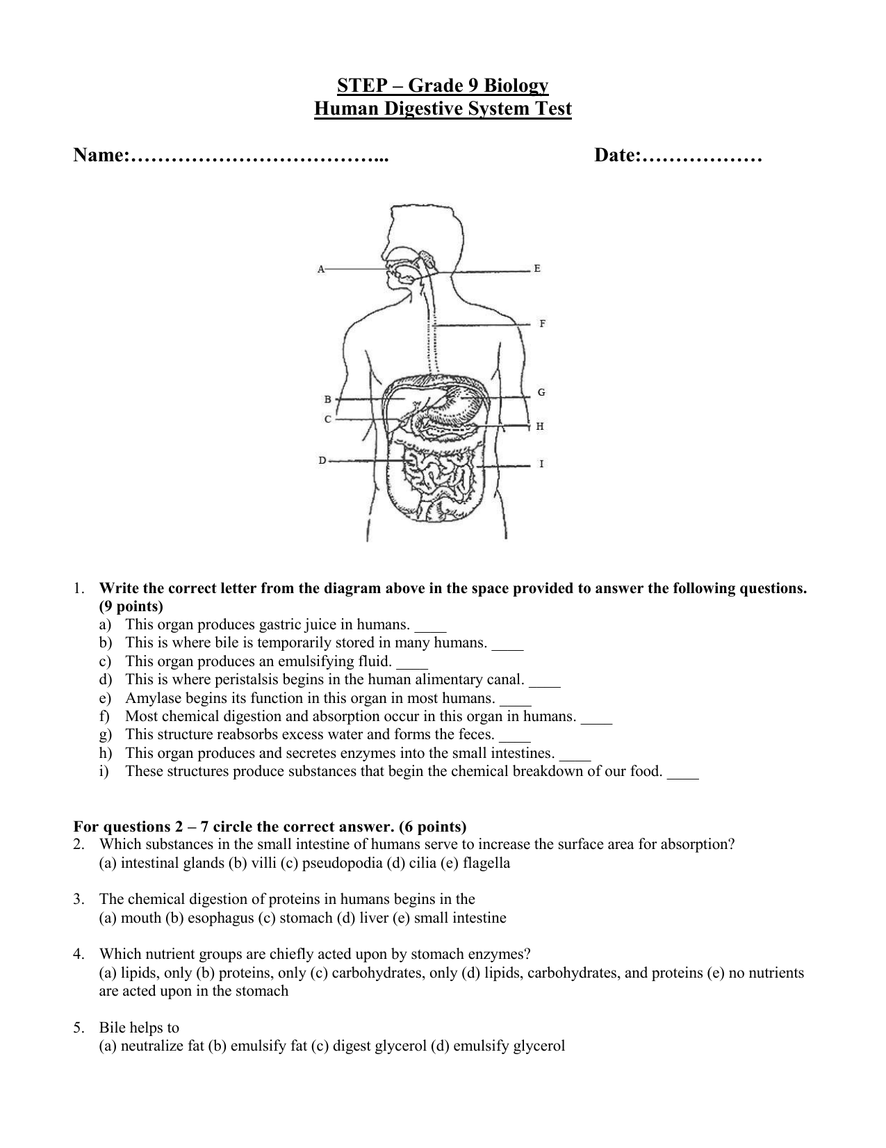 Grade9 Digestion Test Grade9 Digestion Test
