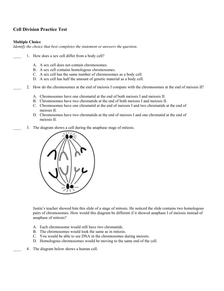 Cell division practice test