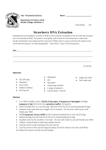 Strawberry DNA Spooling Lab