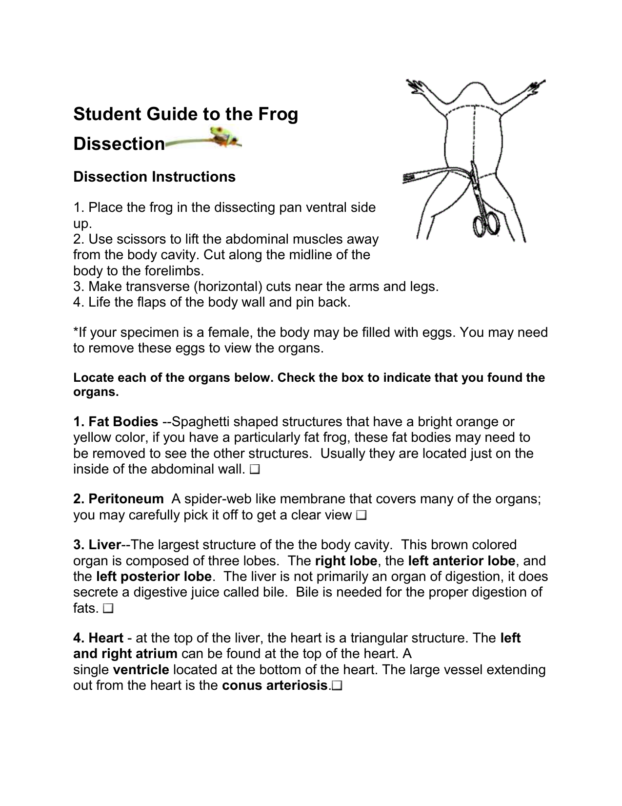 Student Guide To The Frog Dissection Student Guide To The Frog Dissection
