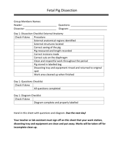 Intro Fetal Pig Diss..