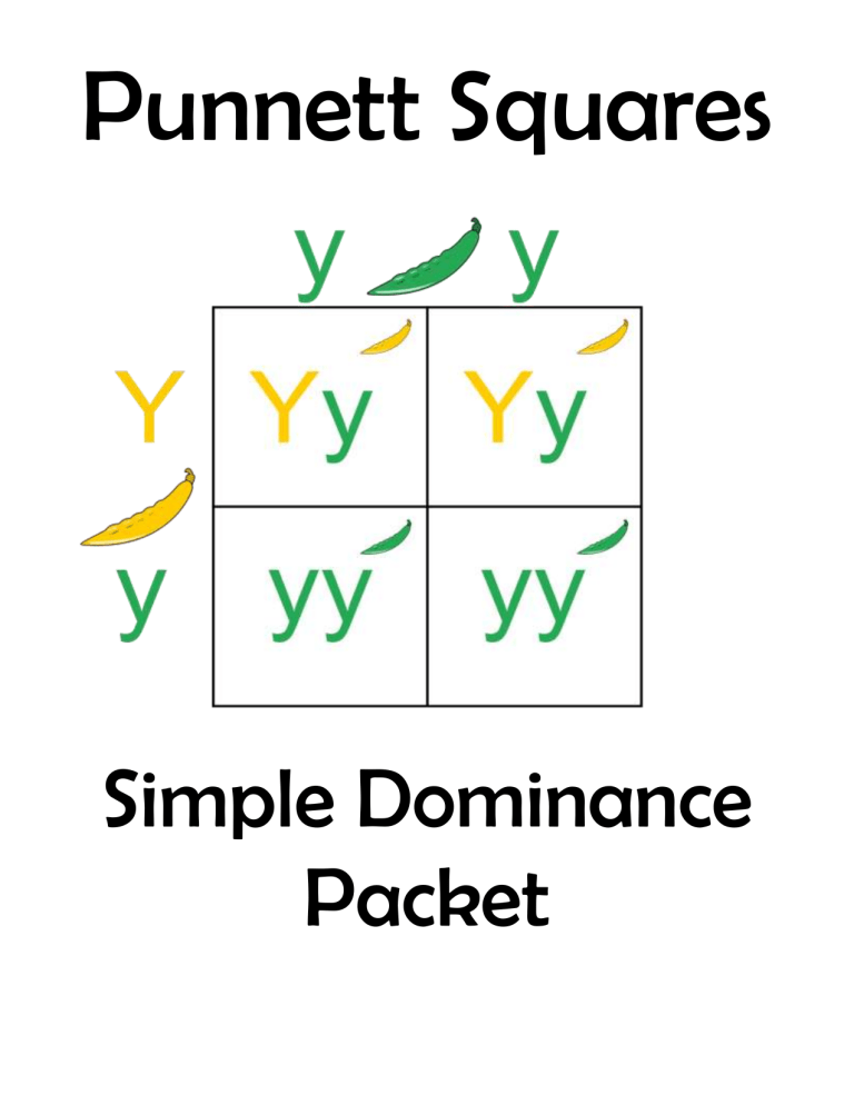 Punnett Squares & Simple Dominance Worksheet Packet