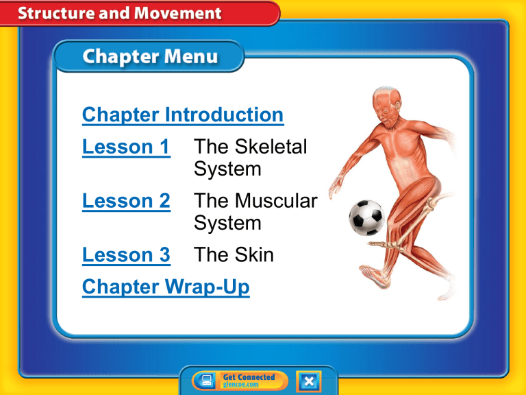 Skeletal System