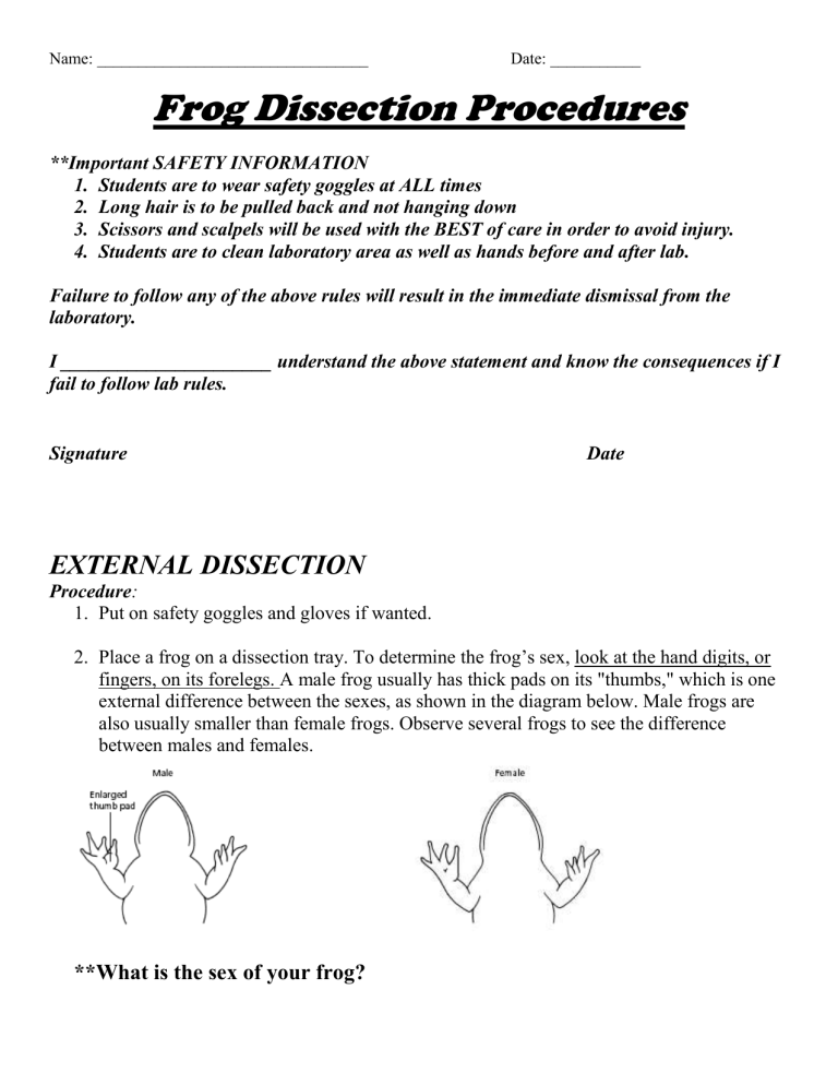 Frog dissection packet 1 Frog dissection packet 1