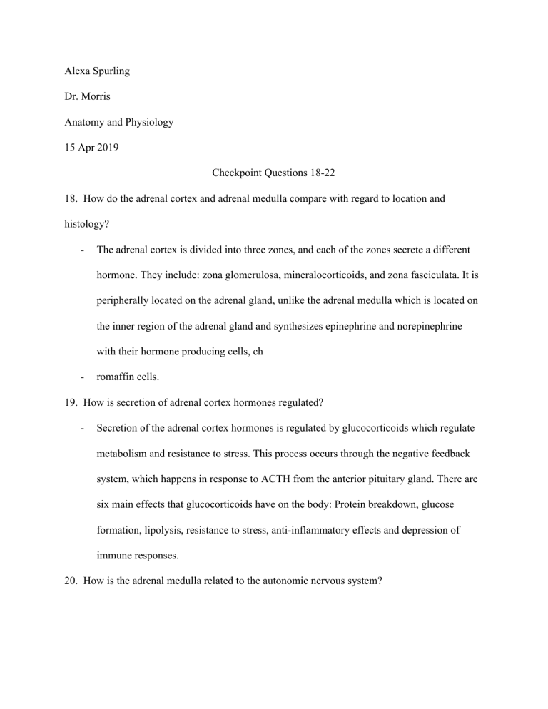 Anatomy Questions
