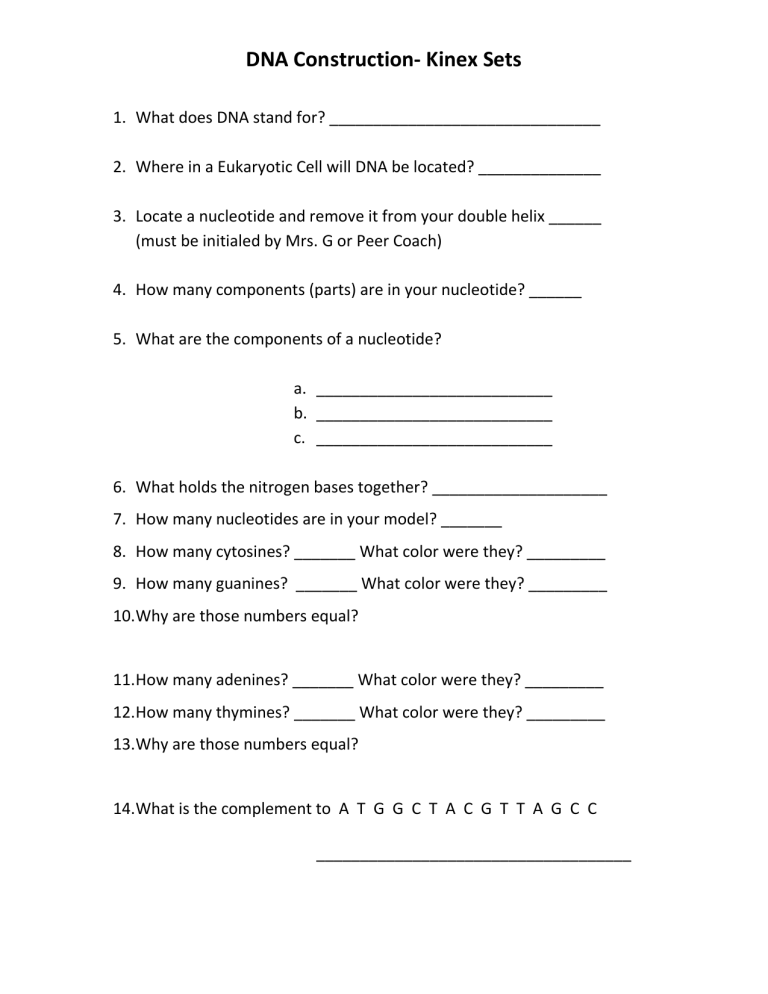 DNA Construction Kinex Questions DNA Construction Kinex Questions