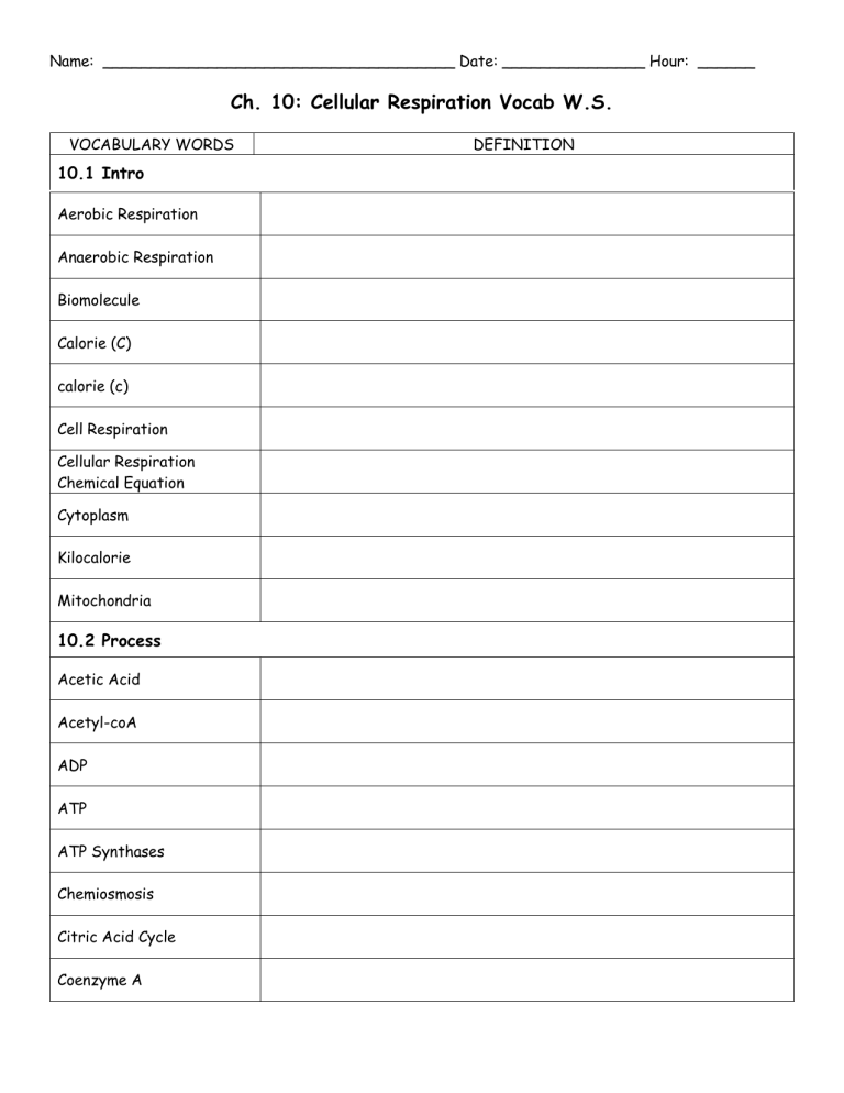 Cellular Respiration Vocabulary Worksheet